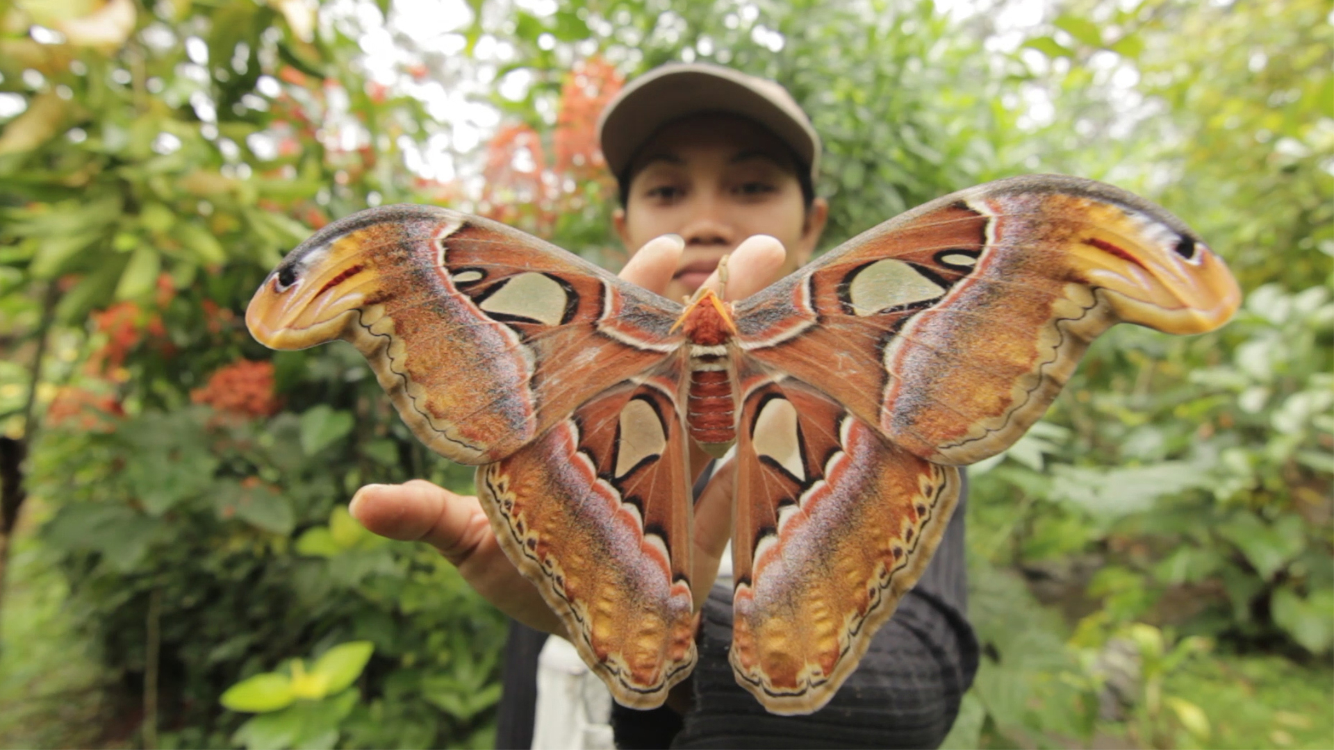 Comberry – We document the World