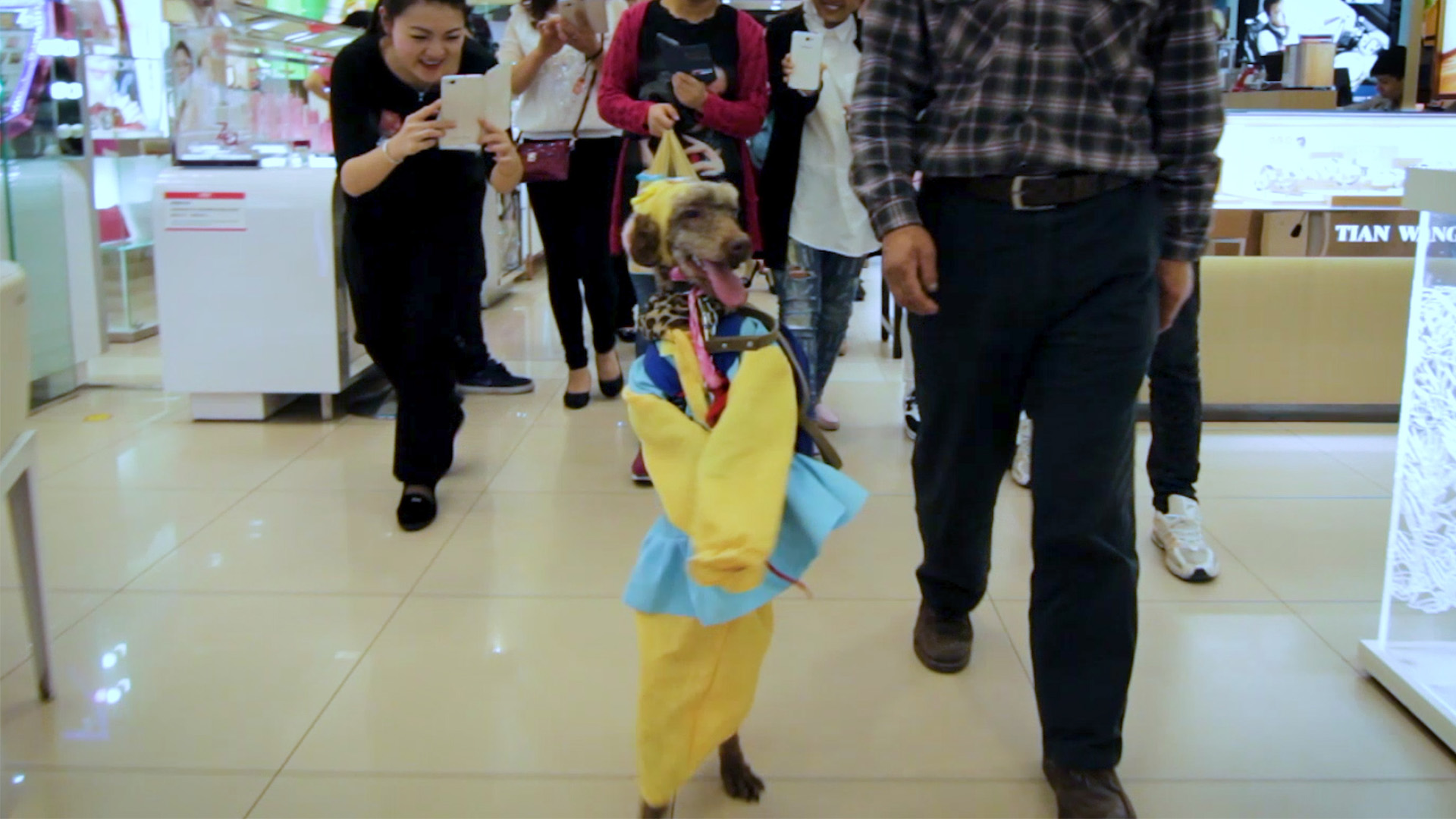 Comberry – We document the World