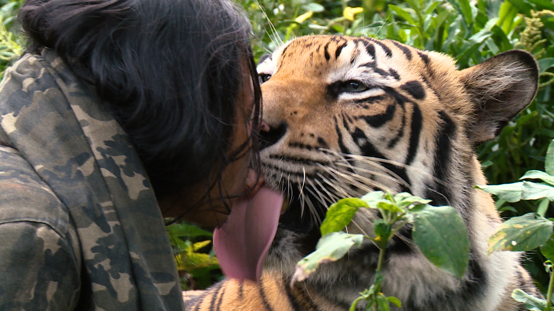 Comberry – We document the World