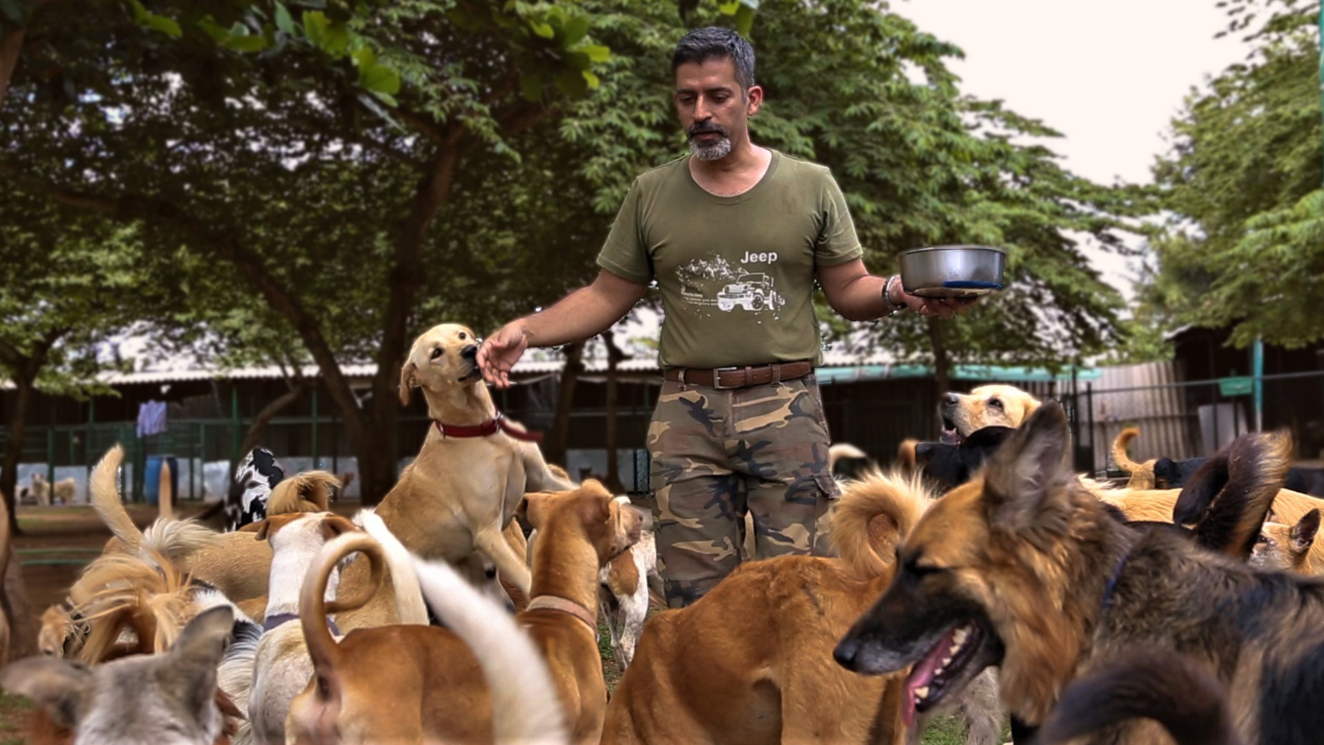 Comberry – We document the World